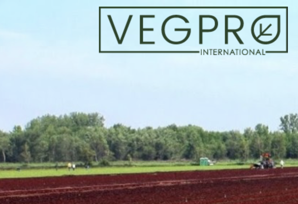 Vegpro international to build $135M greenhouse | The Grower
